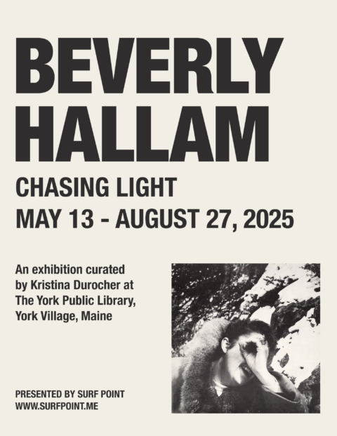 Beverly Hallam: Chasing Light | York Public Library
